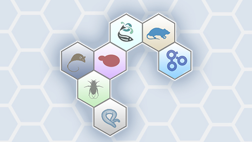 Computational Genomics and Data Science Program